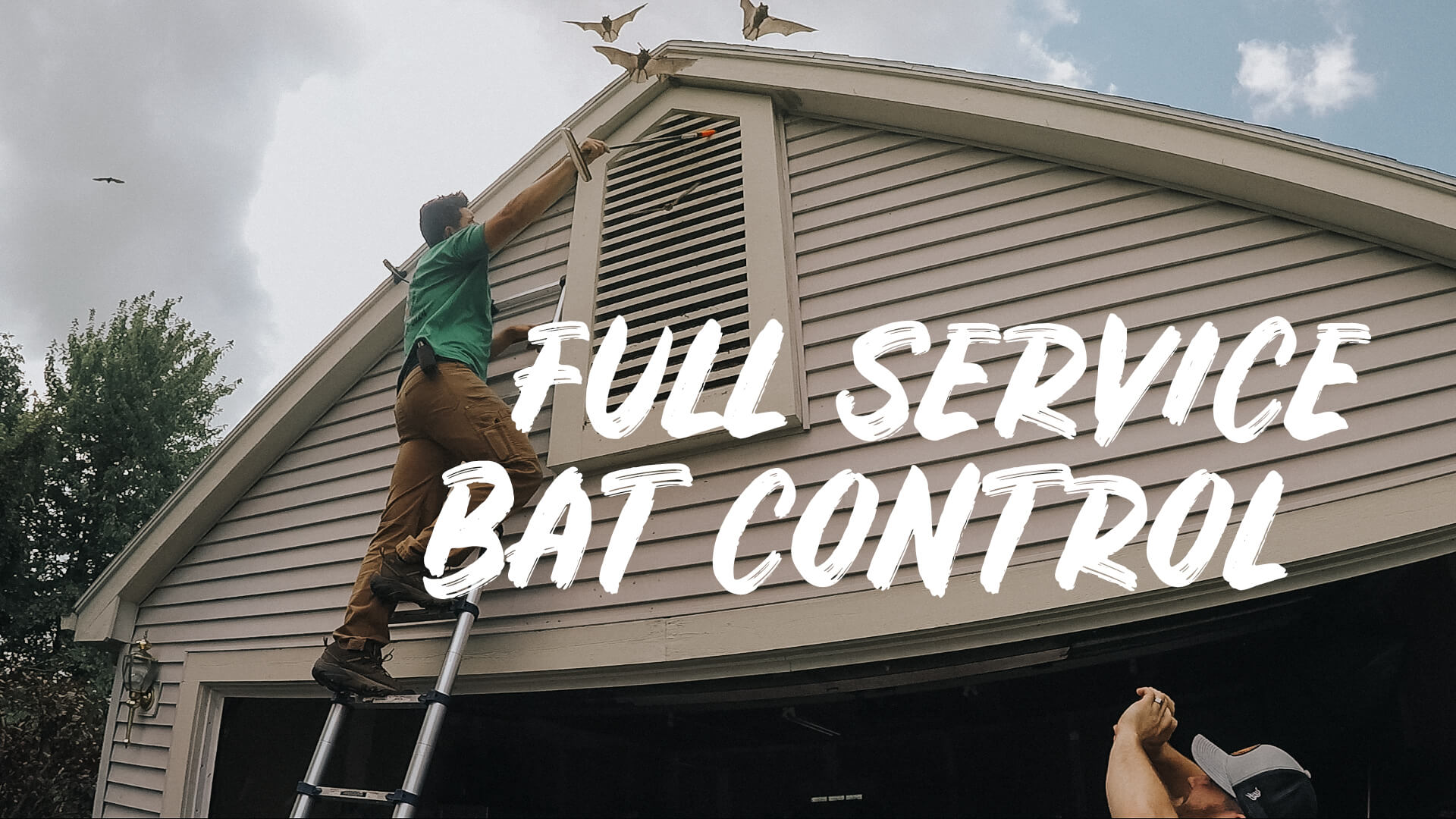 Signs You Have Bats! T&C Rochester Bat Control Experts Call Now