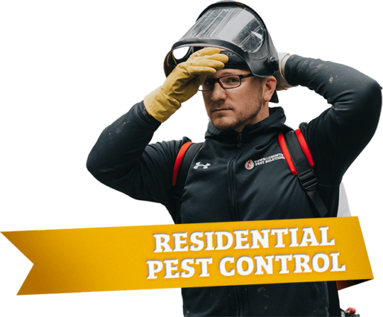 Rochester NY Pest Control: 45 Household Pests Managed