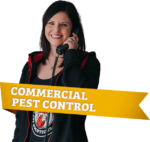 Rochester NY Pest Control: 45 Household Pests Managed